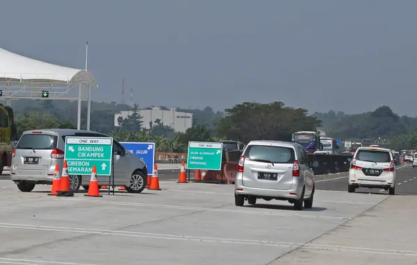 Film Animasi Flow Karya Gints Zilbalodis Tayang di Bioskop Indonesia ...