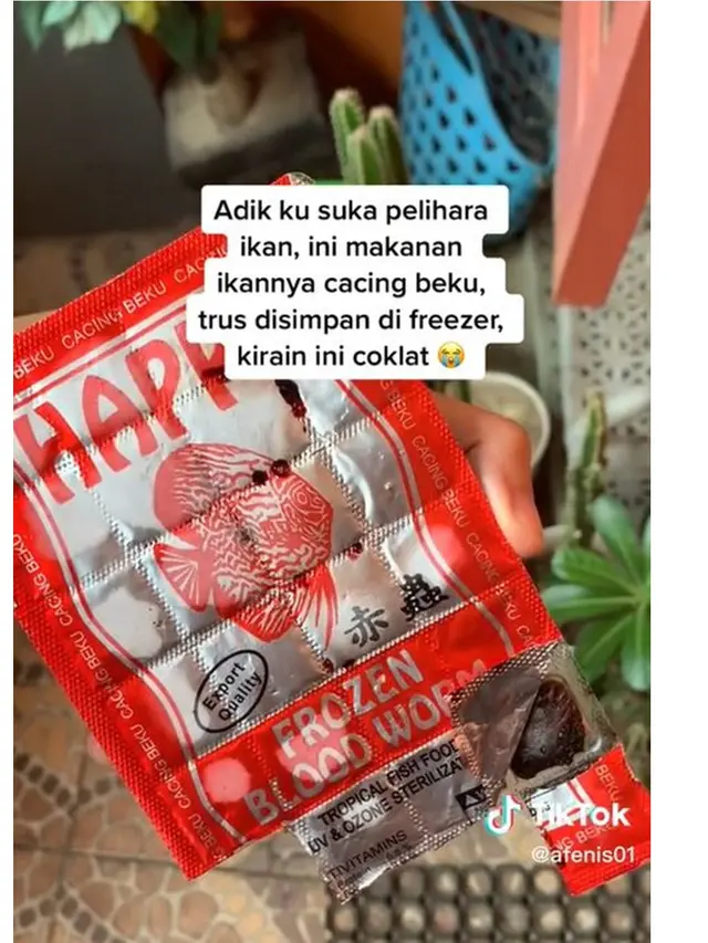Dikira Cokelat, Wanita Ini Hampir Makan Cacing Beku yang Ada di Freezer ...