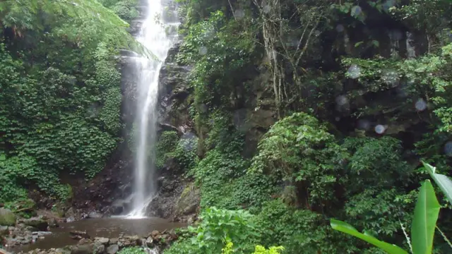 15 Wisata Trawas Terbaru 2025, Destinasi Wisata Alam dan Rekreasi ...