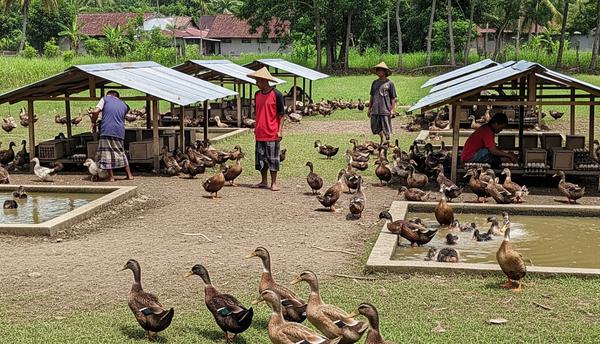 Keunikan Pakaian Adat Papua Barat Ewer, Busana Eksotis Dekat dengan Alam