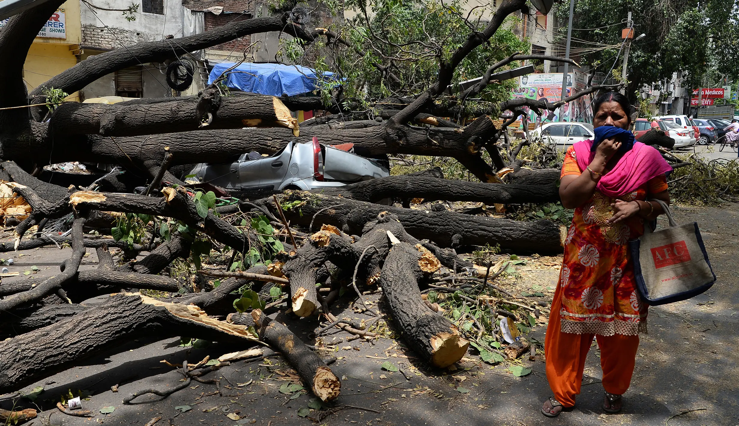 FOTO: Diterjang Badai Angin, Pohon Besar Tumbang Timpa Mobil di India ...