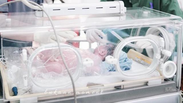 Bayi Tasya Kamila Masuk NICU Setelah Dilahirkan, Begini Kondisinya ...