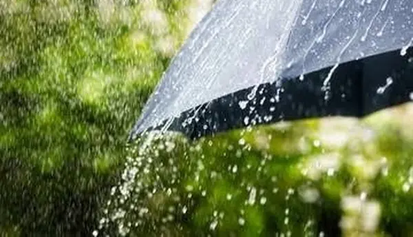 Siapa Msbreewc, Ramai Jadi Sorotan di Media Sosial - Regional Liputan6.com