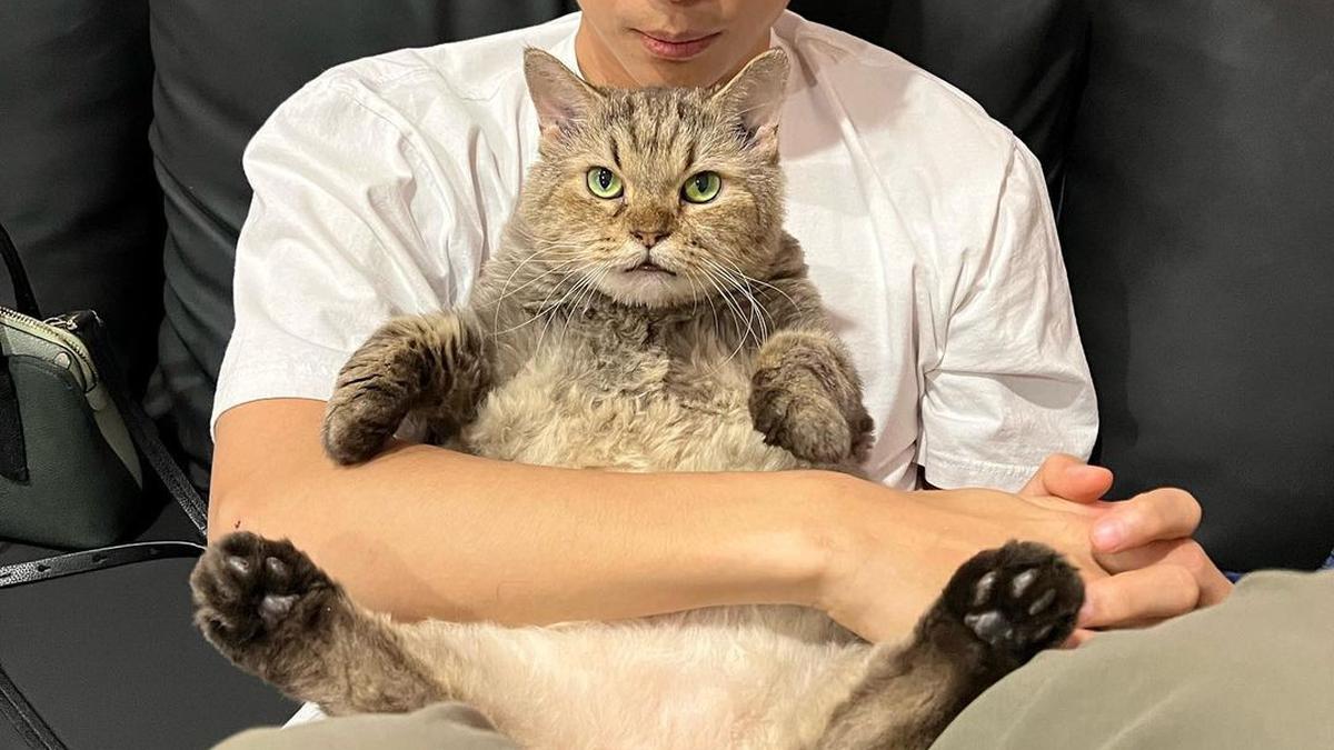 6 Potret Kedekatan Dikta dengan Teman Hidup Kesayangannya, Jimbon