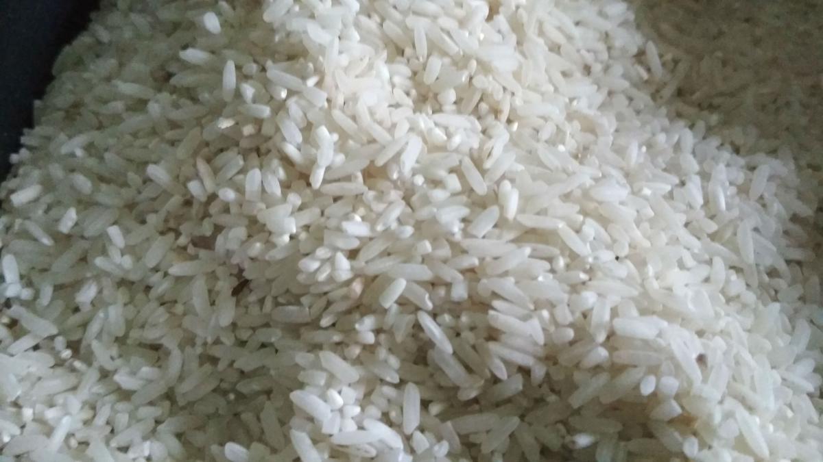 Harga Beras Masih Tinggi, Warga Cirebon Rela Makan Beras Berkutu ...