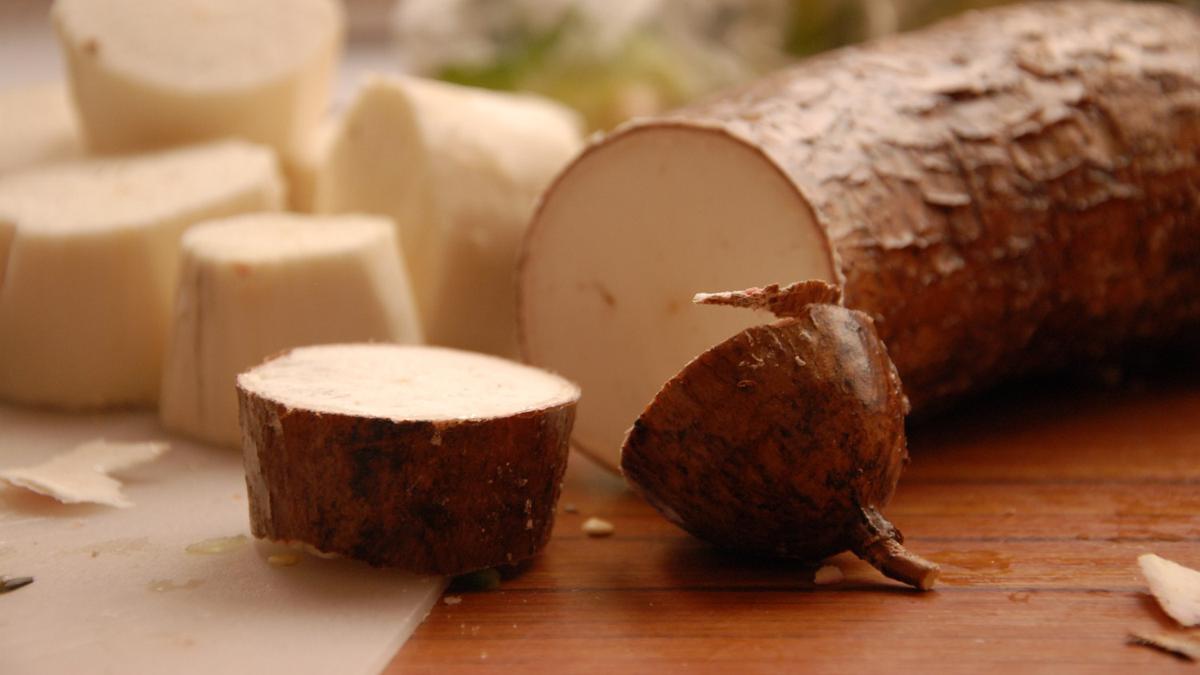 Tapioka, Pati Singkong yang Kaya Manfaat Sehat - Health Liputan6.com