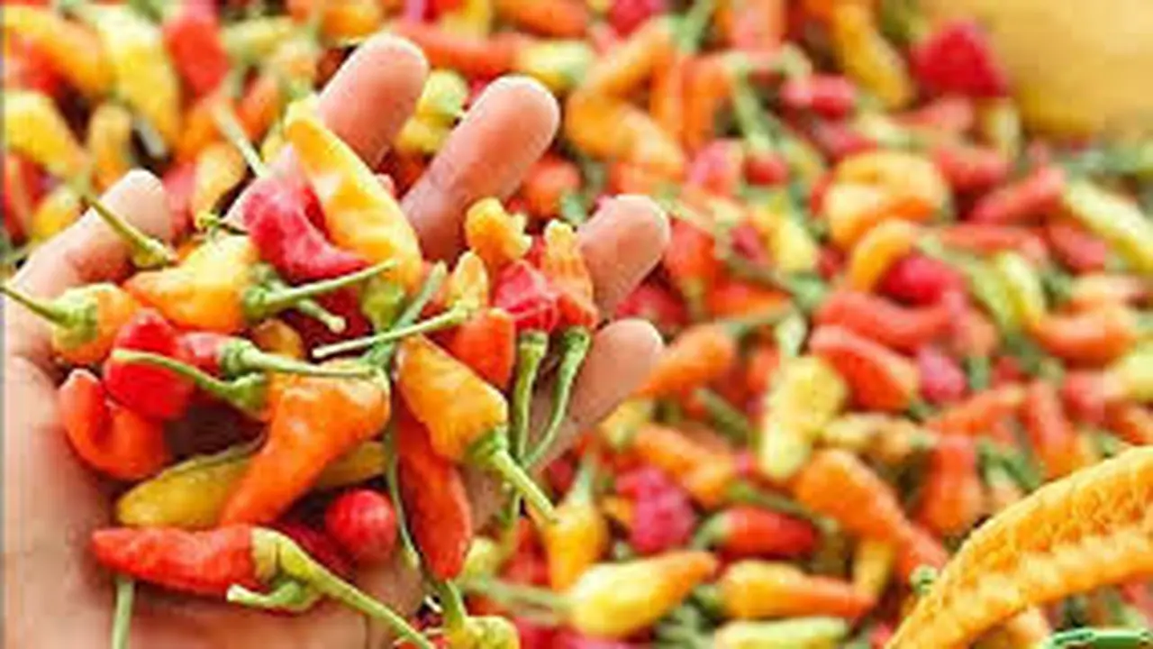 Biang Kerok Harga Cabai Tembus Rp 100 Ribu per Kg Akhirnya Terbongkar - Bisnis Liputan6.com