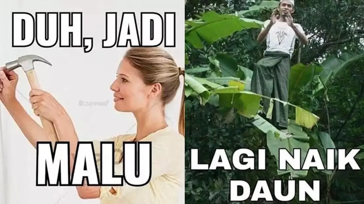 Berita Meme Mikir Keras Hari Ini - Kabar Terbaru Terkini | Liputan6.com