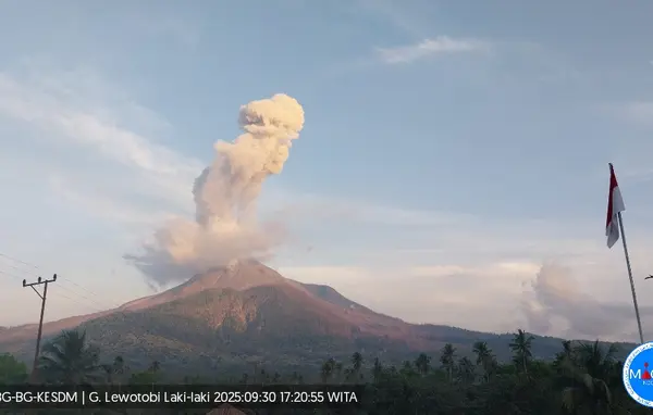 OPM Adalah Organisasi Papua Merdeka, Pelajari Sejarah Terbentuknya ...