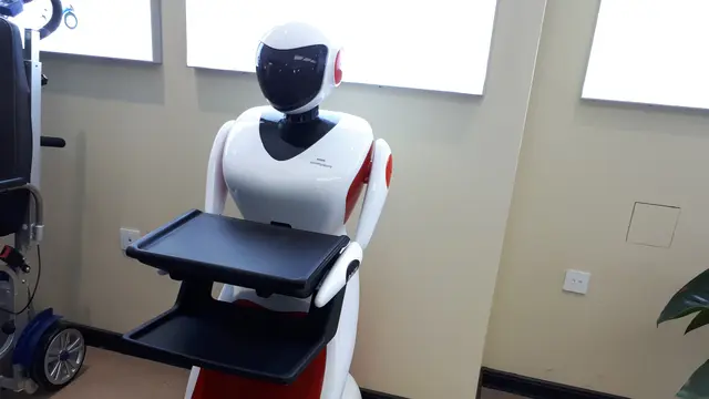 Pelayan Restoran di Jakarta hingga Penjinak Bom, Ini Robot Canggih Made ...