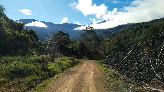 6 Fakta Menarik Gunung Sinsing di Perbatasan Kalimantan dan Malaysia