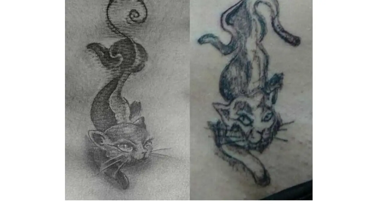 6 Tato Bentuk Kucing Ini Bentuknya Nyeleneh, Bikin Ngakak - Hot ...