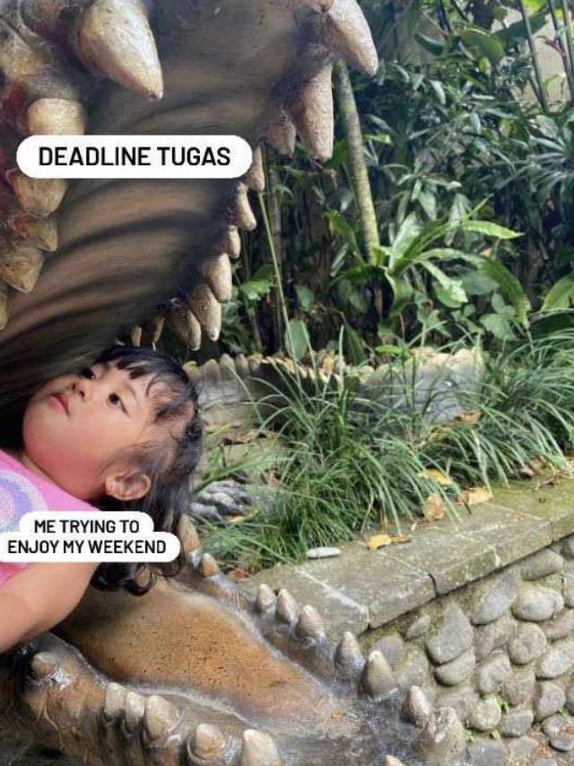 Sampai Tertekan, Ini 7 Meme Orang Dikejar Tugas yang Bikin Pusing