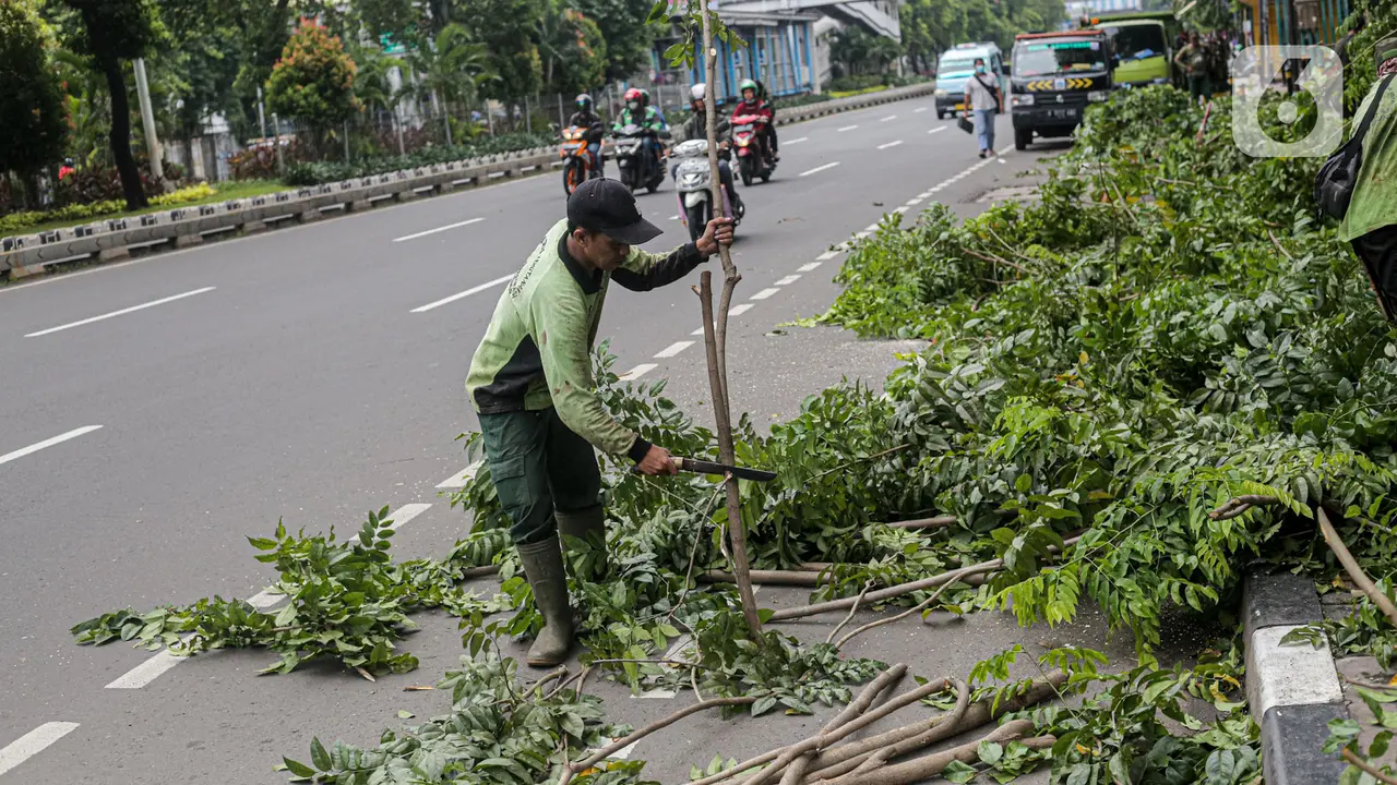 3 Pohon Tumbang saat Hujan Disertai Angin Kencang di Jakarta - News ...