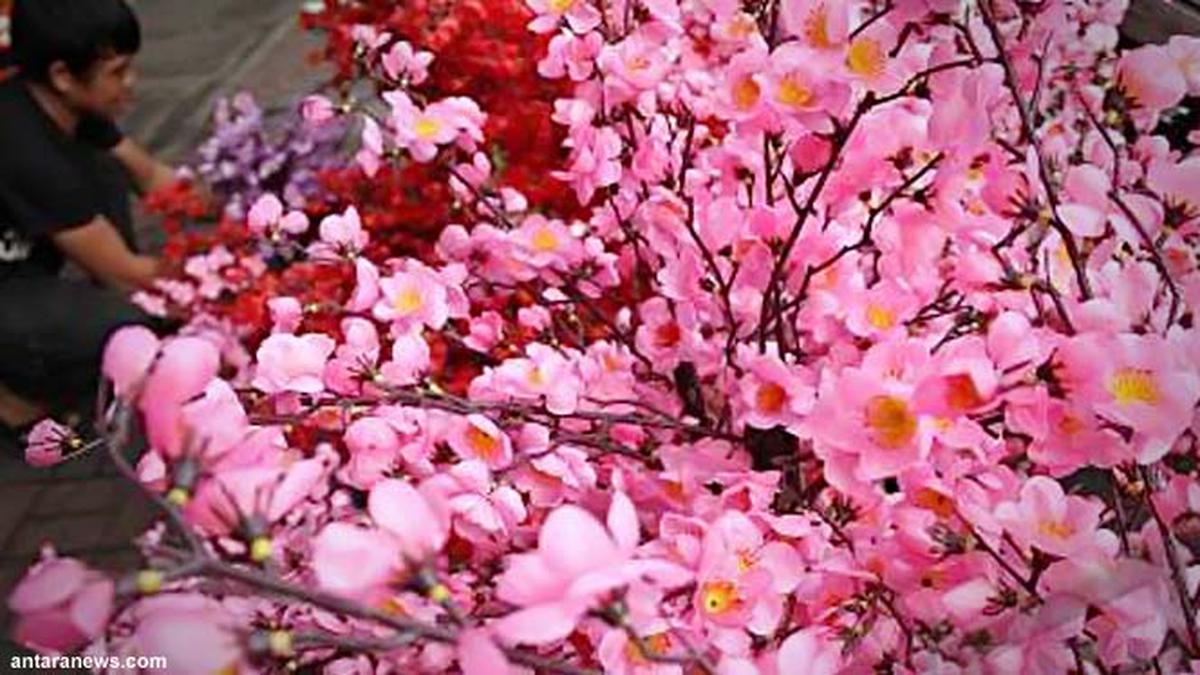 Mei Hua, Si Cantik Pembawa Kebahagiaan - News Liputan6.com