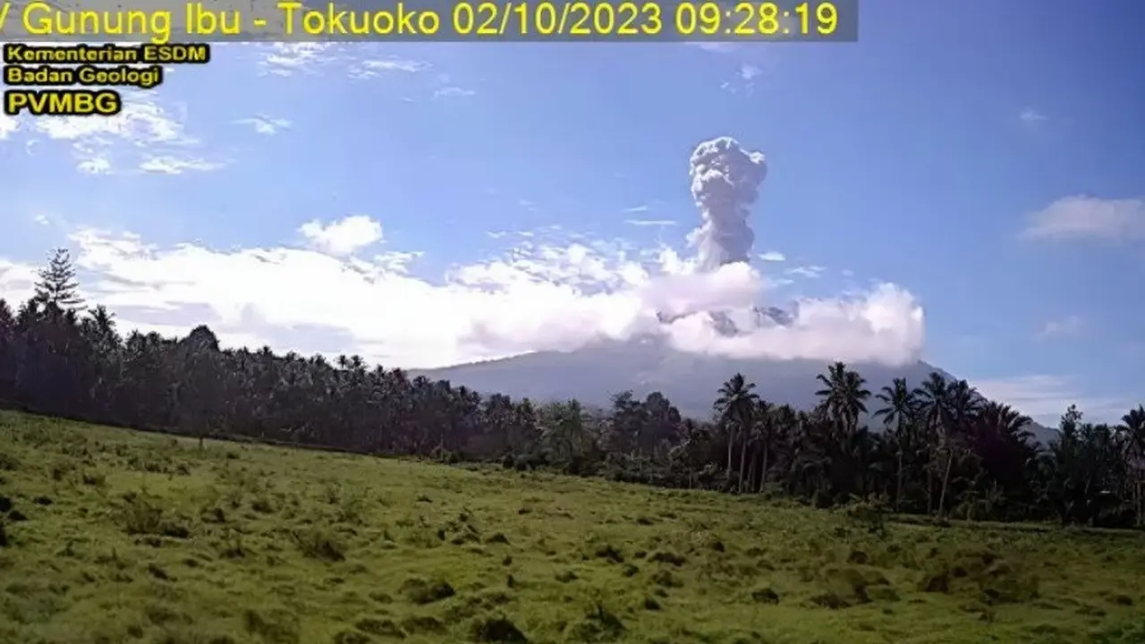 Gunung Ibu Meletus, Lontarkan Abu Vulkanik Setinggi 1.100 Meter - Regional Liputan6.com
