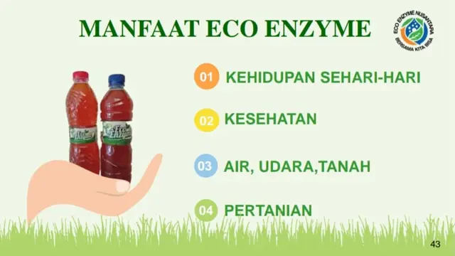 Eco-Enzyme, Langkah Solutif Kurangi Sampah Organik Demi Pendinginan ...