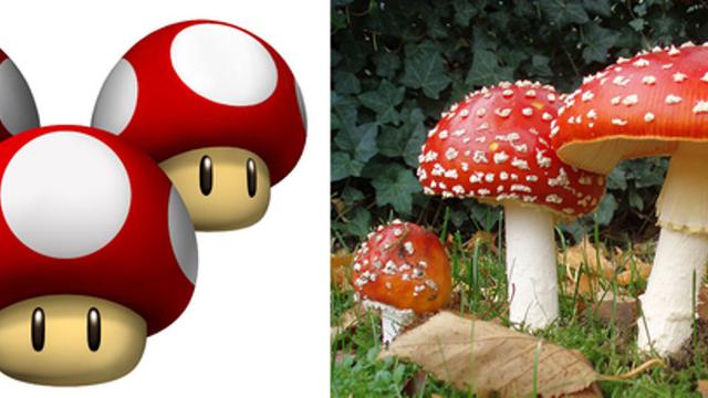 Penuh Nutrisi Hingga Industri Miliaran Dolar, 11 Fakta Menarik Tentang ...