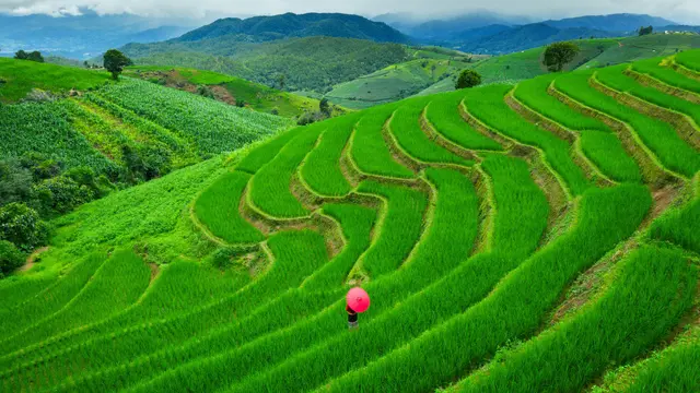 Arti Terasering beserta Jenis-jenisnya - Ragam Bola.com