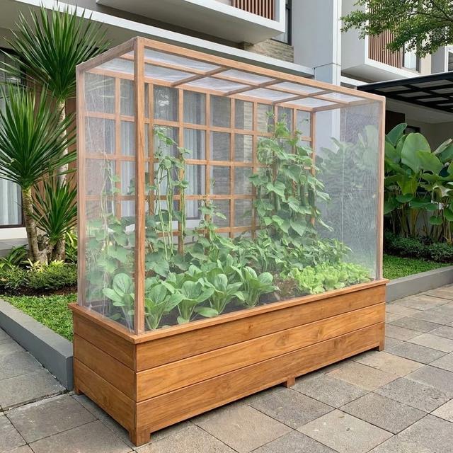 9 Desain Kebun Sayur Minimalis Depan Rumah Pakai Box Planter Kayu, Tren ...