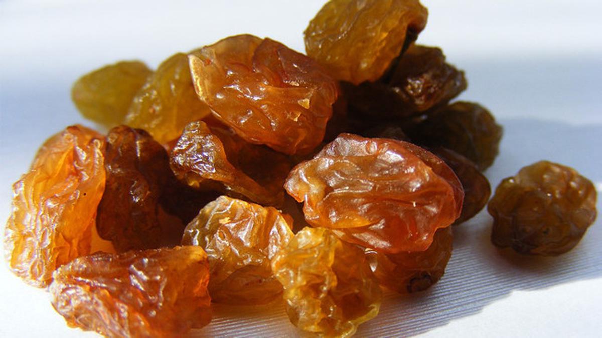 6 Manfaat Rutin Konsumsi Kismis untuk Kesehatan dan Kulit - Citizen6 ...