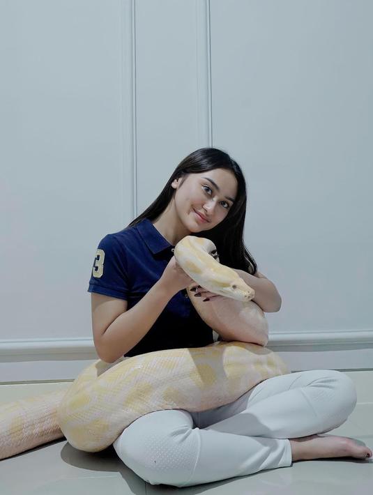 Ngeri, Ini Potret Memes Prameswari Mandikan Ular Piton Albino Berukuran Jumbo - Foto Liputan6.com