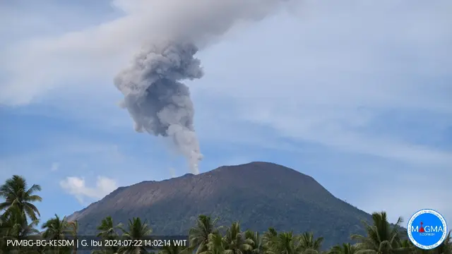 Gunung Ibu Erupsi Lagi, Semburkan Abu Vulkanik 1.000 Meter ke Arah Utara - Regional Liputan6.com