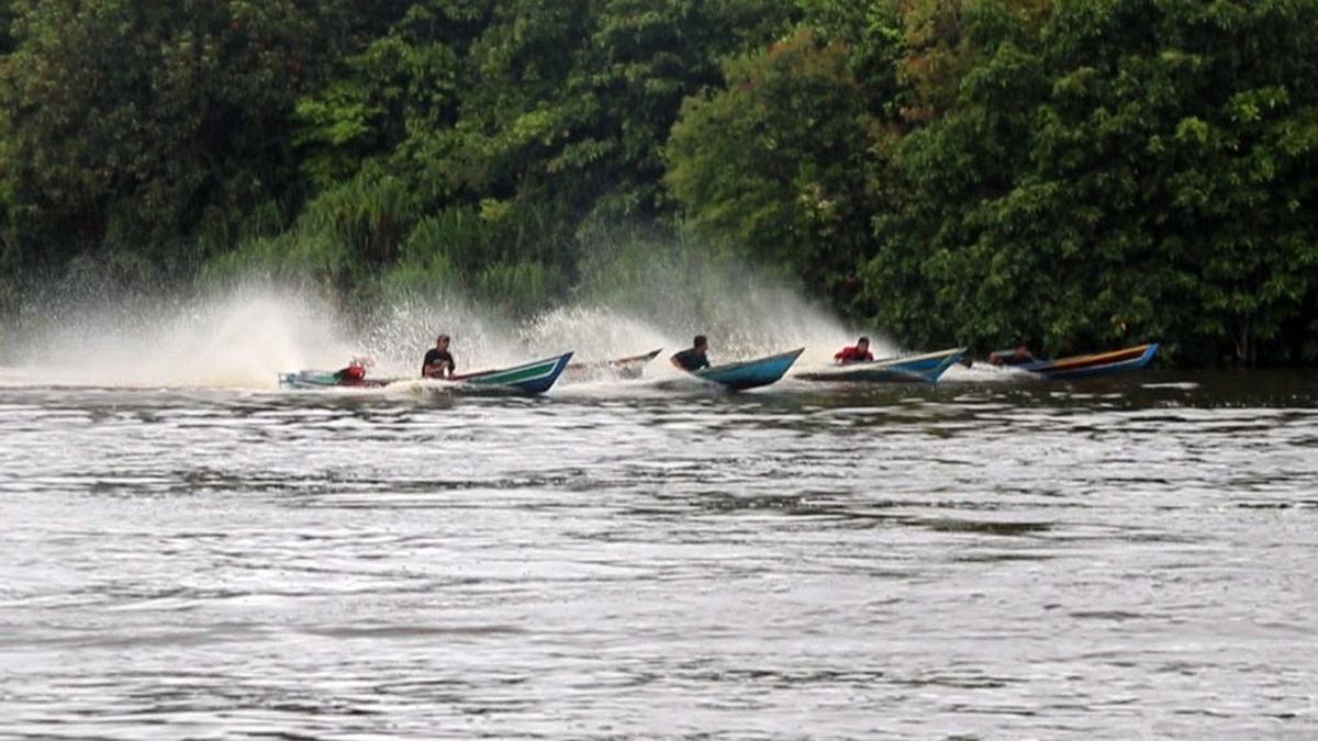 Keseruan Balap Perahu di Sungai Rungan
