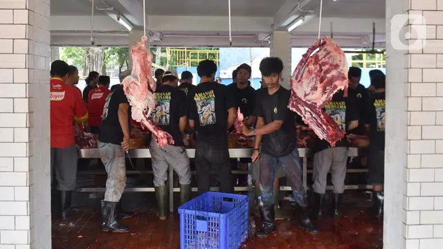 Panduan Lengkap: Berapa Lama Daging Bisa Disimpan di Freezer Tanpa ...