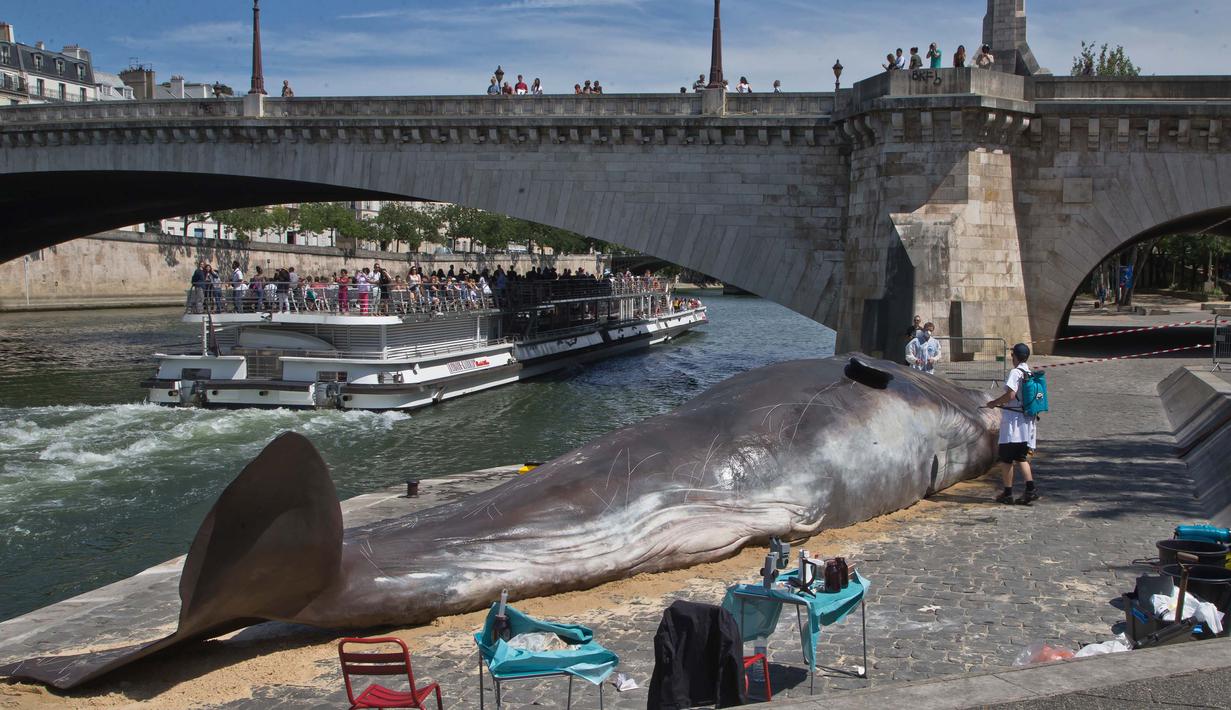 Paus Besar di Pinggir Sungai Jadi Tontonan Warga Paris - Foto Liputan6.com