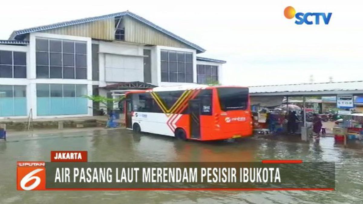 Banjir Rob Kembali Genangi Kawasan Muara Angke - News Liputan6.com