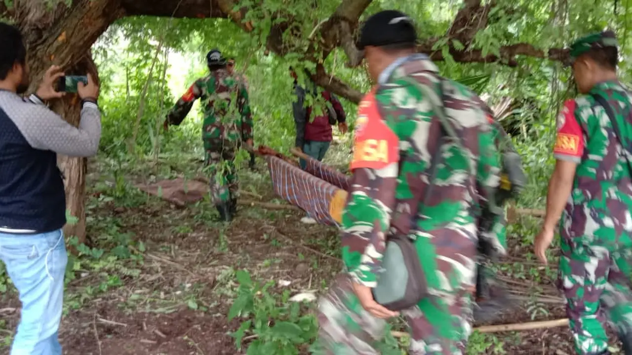 6 Fakta Menarik tentang Adonara yang Miliki Pasir Timbul Warna Pink ...