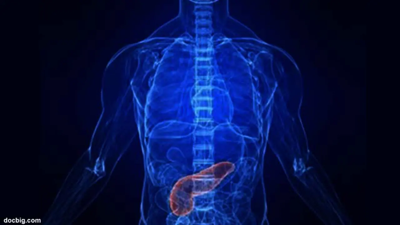 Terapi Target Kanker Kolorektal Perpanjang Peluang Hidup Pasien ...