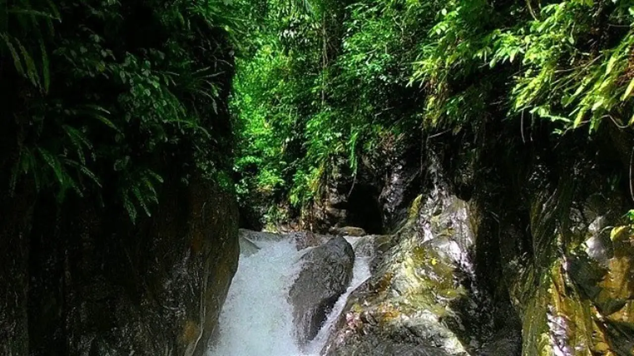 10 Tempat Wisata di Sentul yang Paling Populer dan Sudah Buka, Wajib ...