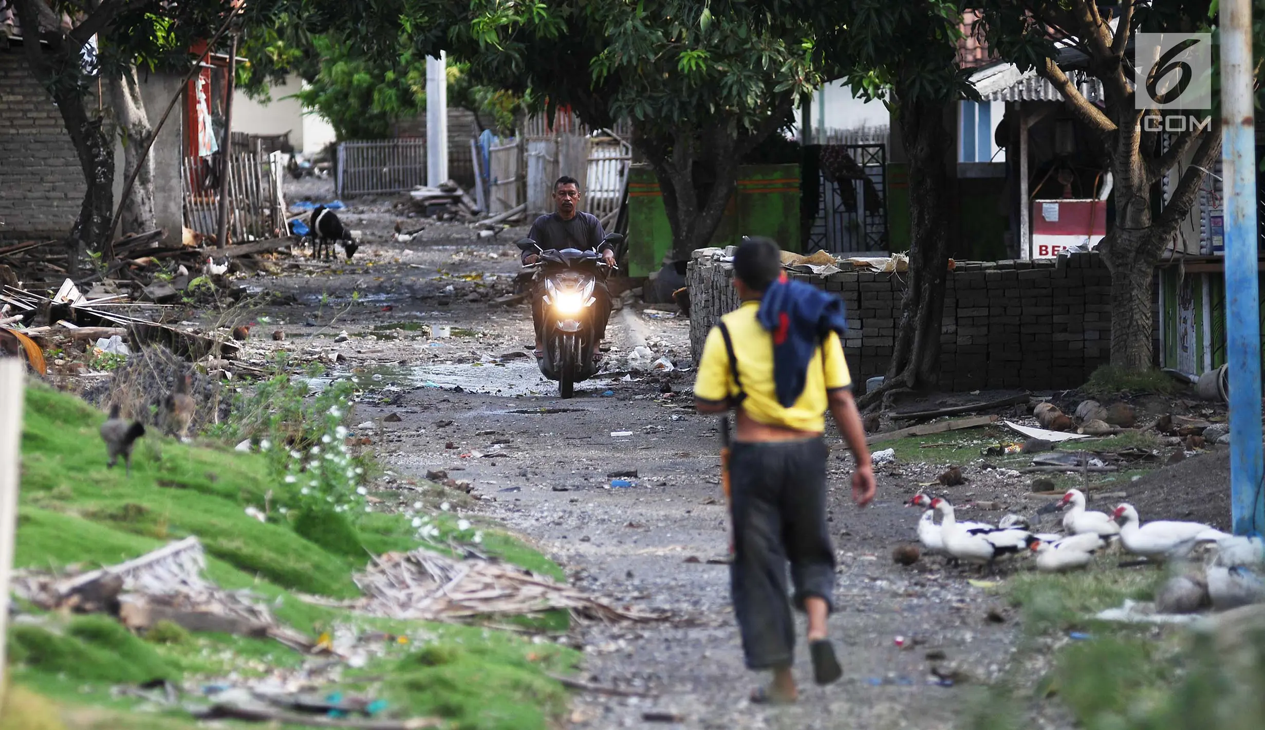 FOTO: Potret Warga Pulau Sebesi yang Bertahan di Lokasi Tsunami - Foto ...