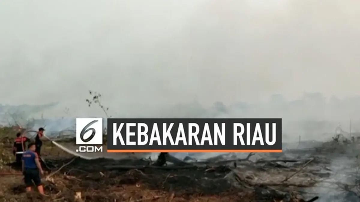 Video Kebakaran Hutan dan Lahan Riau Hari Ini - Video Terbaru Terkini ...