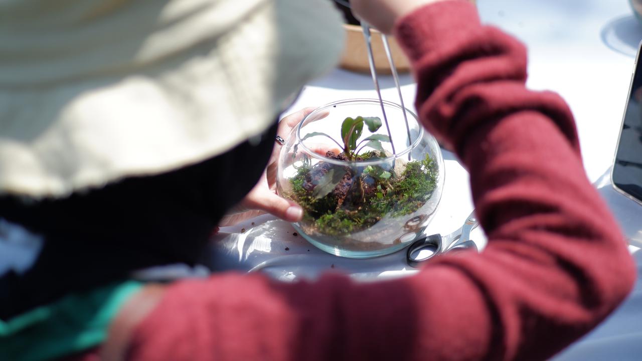 Sunset di Kebun Kembali ke Kebun Raya Bogor, Tampilkan Raisa hingga ...