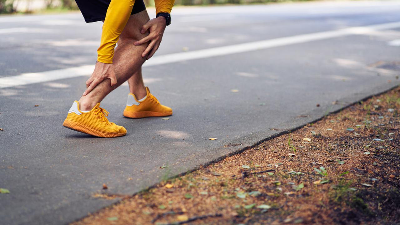 Tendon Adalah Jaringan Ikat yang Mengikat Otot pada Tulang, Ketahui ...