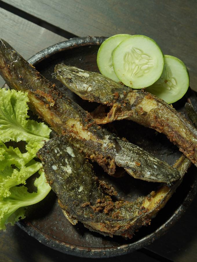 Tips Menggoreng Ikan Lele Agar Minyak Tidak Meletup dan Lengket ...