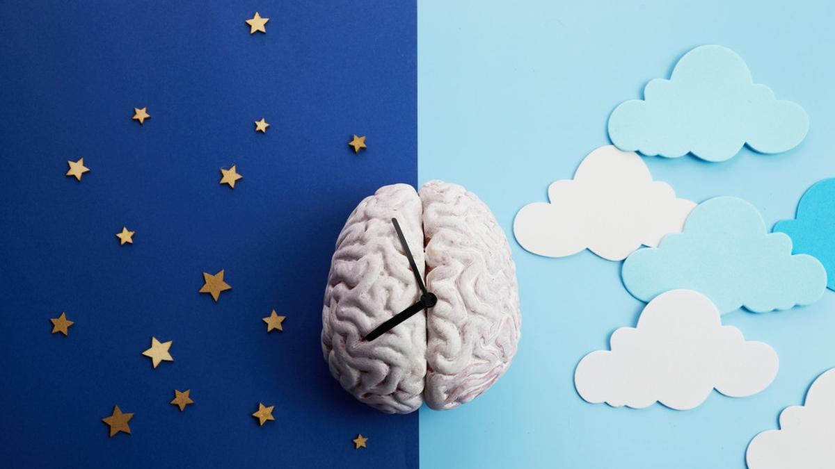 Pahami Ritme Sirkadian dalam Tubuh yang Mengatur Siklus Tidur - Health ...