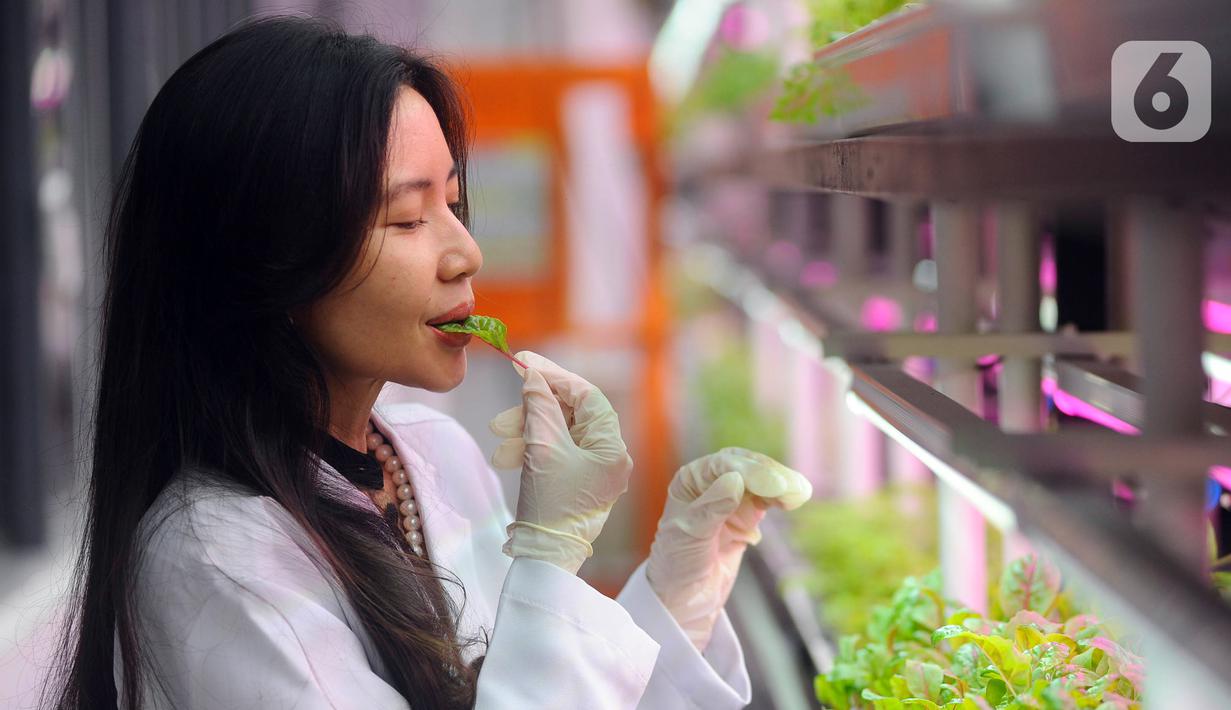 Unik, Kafe di Tangerang Selatan Hadirkan Pertanian Dalam Ruangan - Foto ...