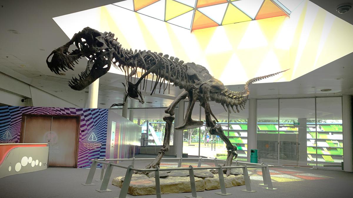 Science Center Singapore, Bawa Liburan dengan Pengalaman Berbeda - News ...