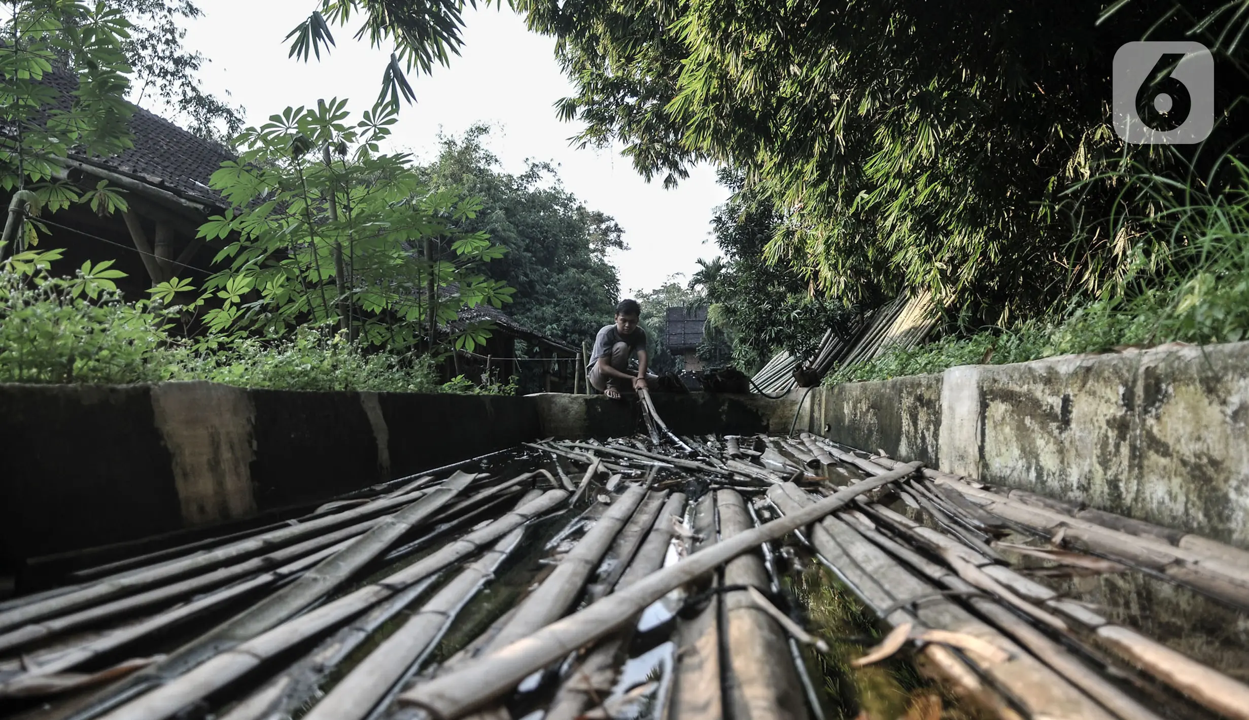 FOTO: Sepeda Bambu Buatan Indonesia Tembus Pasar Asia - Foto Liputan6.com