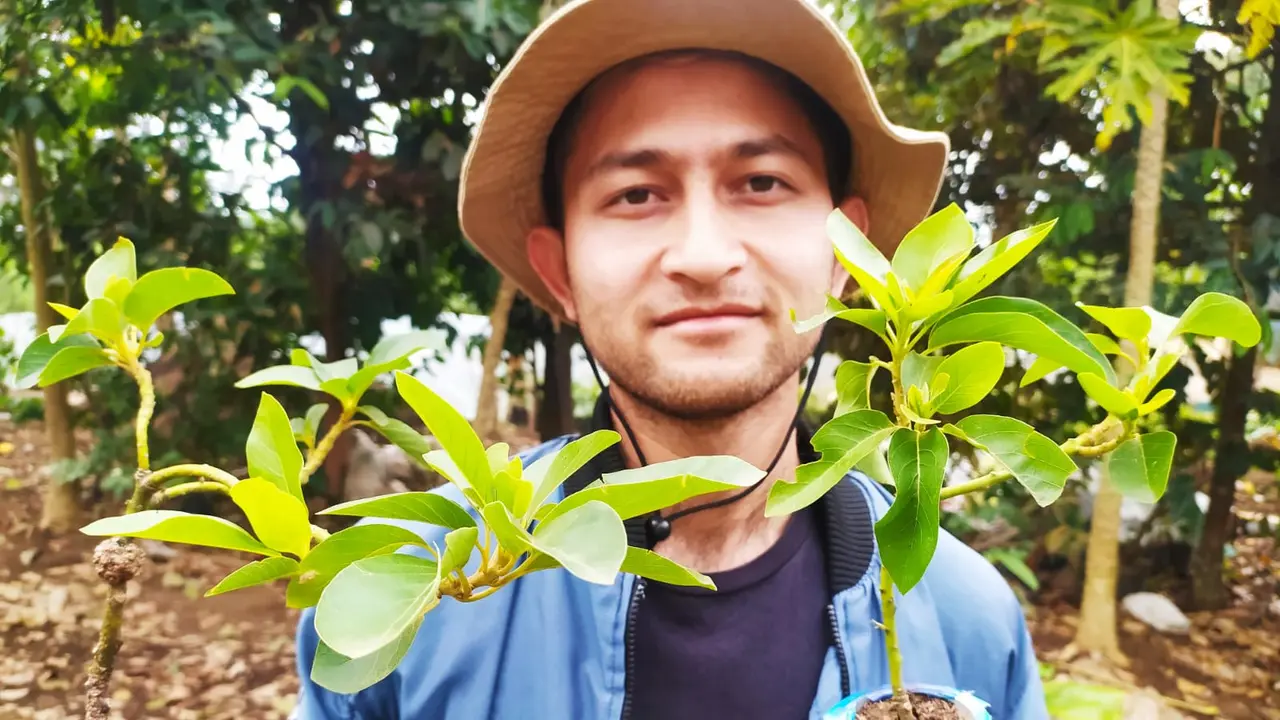 Pertama di Indonesia, Petani Milenial Garut Perbanyak Bibit dengan ...