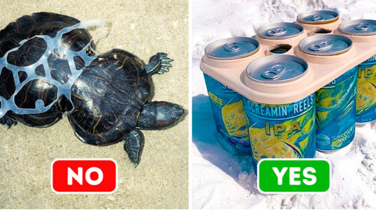 6 Penemuan yang dapat Menyelamatkan Laut dari Kerusakan - Citizen6 ...