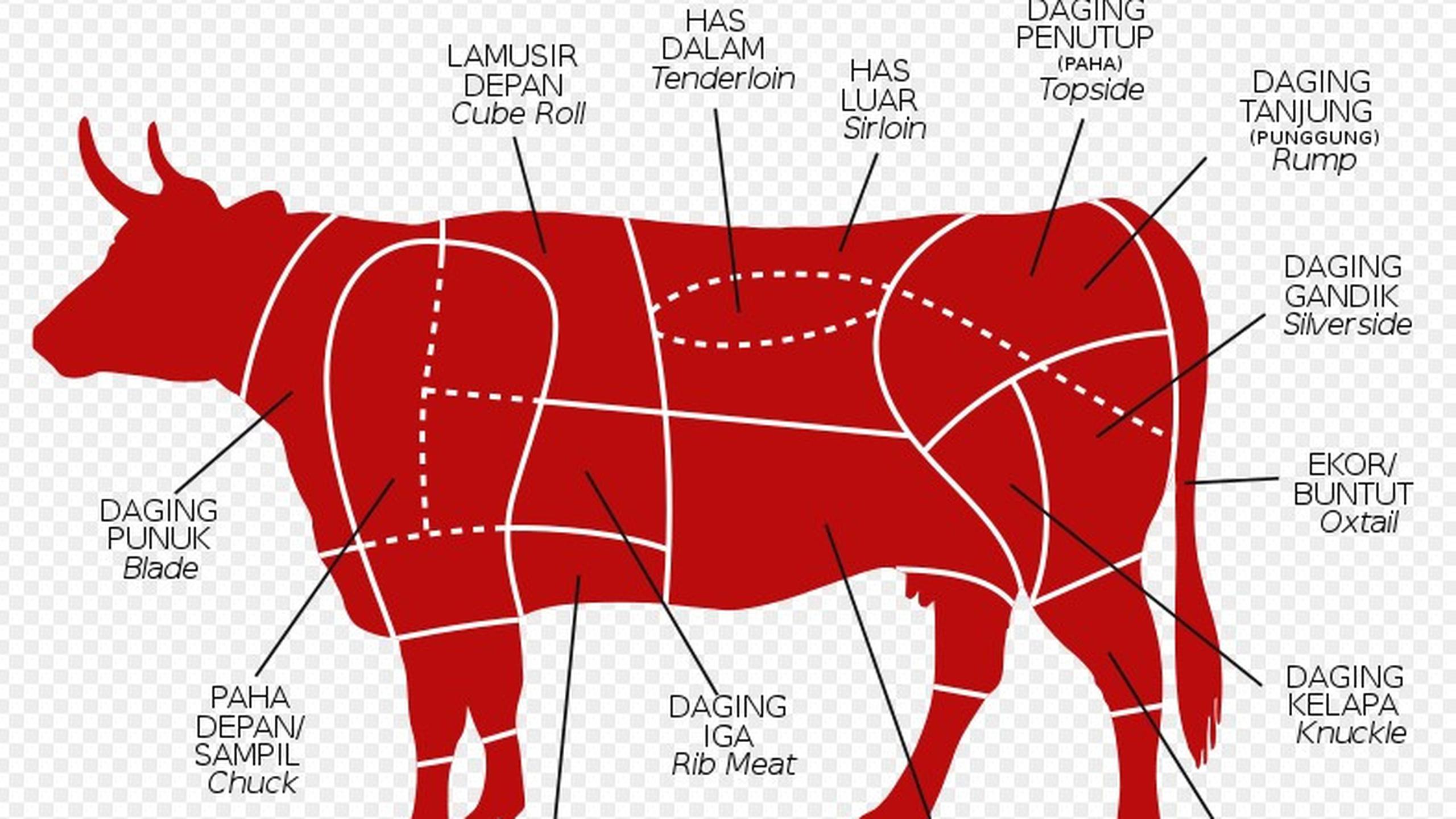 Bagian-Bagian Tubuh Sapi yang Memiliki Daging Terbanyak dan Tips Memasaknya