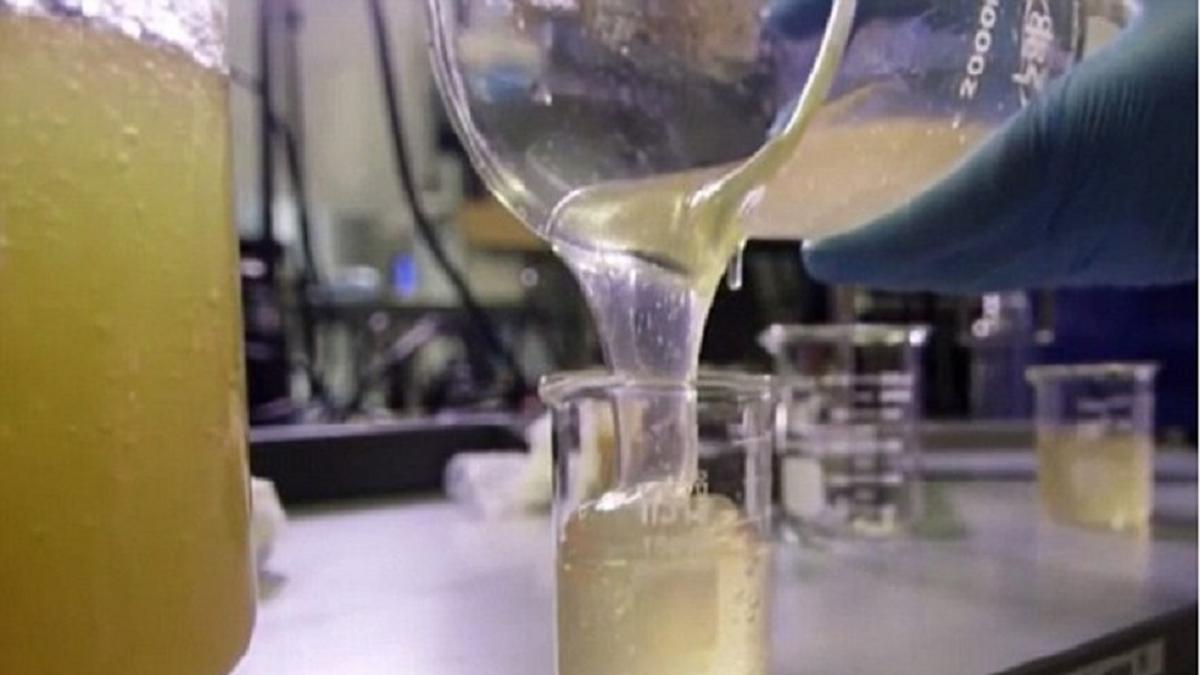 Gel Ajaib Ini Mampu Hentikan Pendarahan Dalam Sekejap - Health Liputan6.com