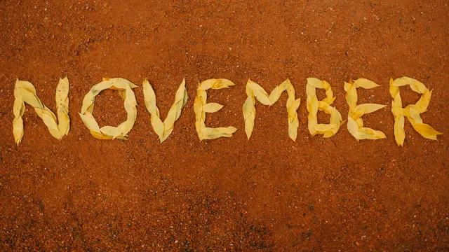 Fakta Menarik Bulan November yang Jarang Diketahui, Apa Saja Itu ...