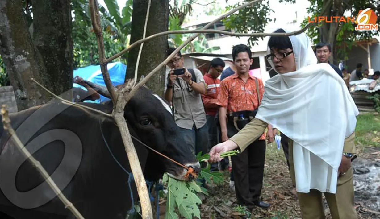 Wah, Lurah Susan Jasmine Ikut Potong Sapi - Foto Liputan6.com