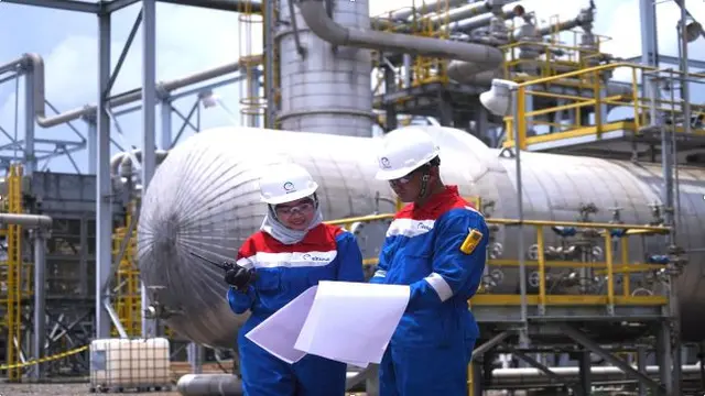 Elnusa Mulai Survei Seismik Perdana di Area Tambang Batu Bara Grup ...